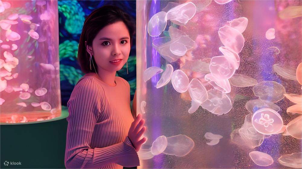 [Limited Time Offer] Shunde Ocean Park Tickets - Klook Philippines